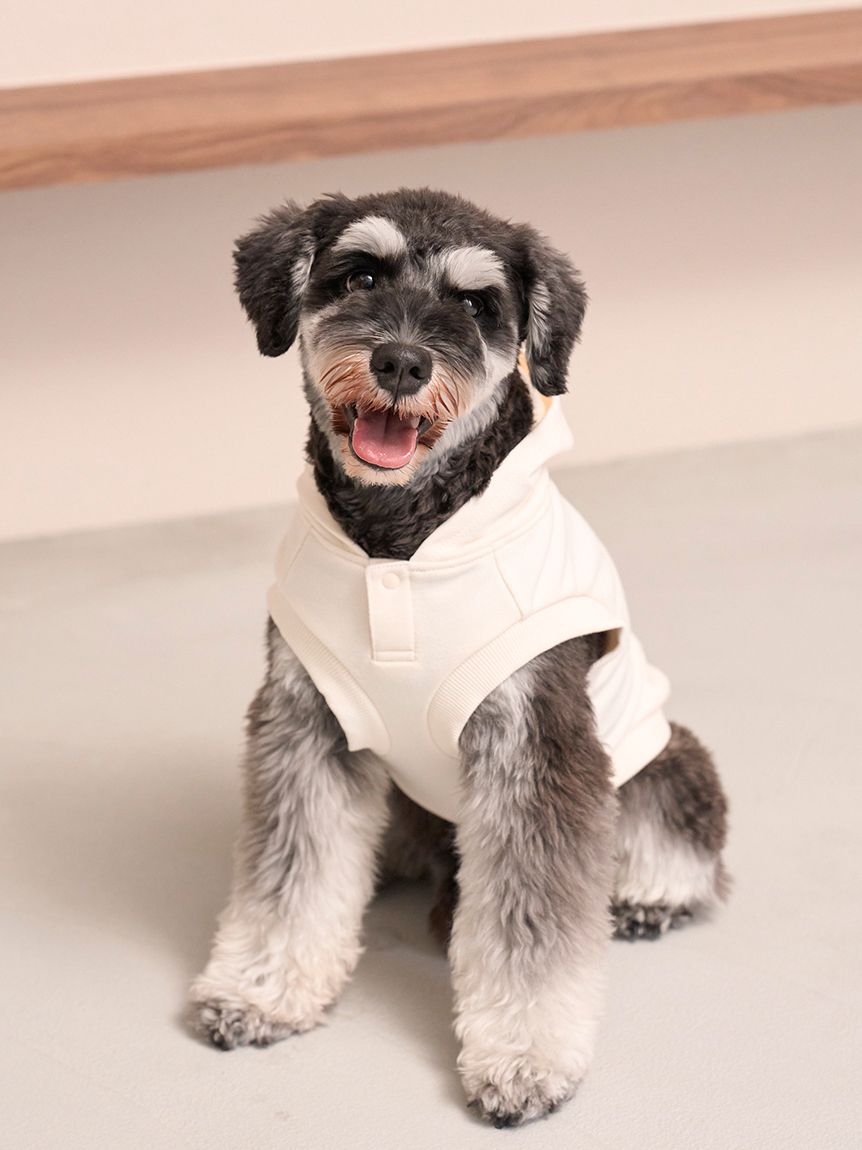 【CAT&DOG】スポーティーベア裏毛プルオーバー（ GELATO PIQUE CAT&DOG）｜ルミネのファッション通販アイルミネ